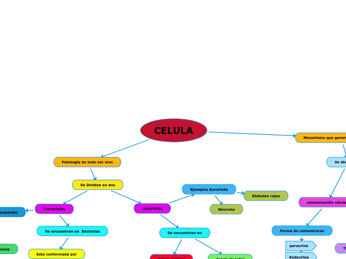 CELULA - Mind Map
